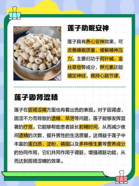 男人吃莲子会影响性功能吗_莲子对男性性能力的影响-第3张图片-山城妙识 男人吃莲子会影响性功能吗_莲子对男性性能力的影响-第3张图片-山城妙识