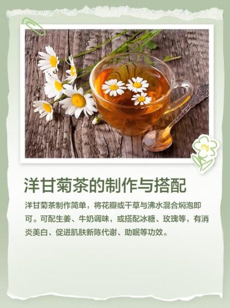 洋甘菊茶的功效与作用_洋甘菊茶怎么喝-第3张图片-山城妙识 洋甘菊茶的功效与作用_洋甘菊茶怎么喝-第3张图片-山城妙识