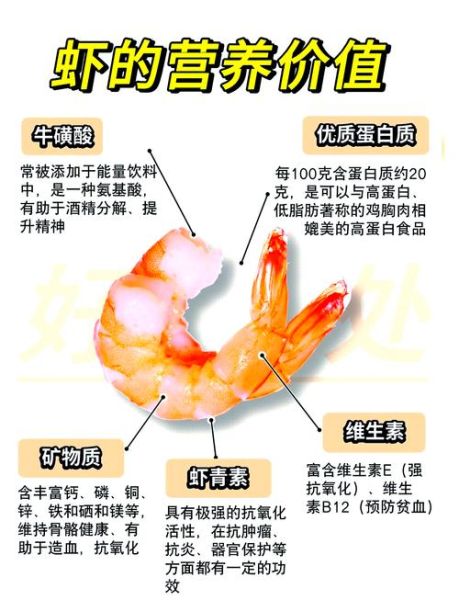 虾的营养价值与功效_虾吃多了会上火吗-第1张图片-山城妙识 虾的营养价值与功效_虾吃多了会上火吗-第1张图片-山城妙识
