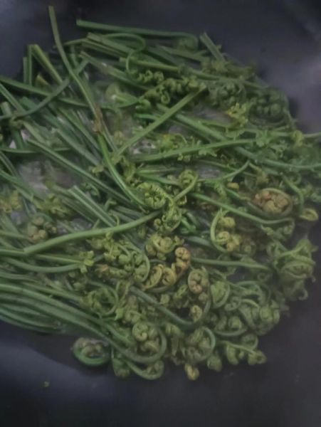 蕨菜怎么读_蕨菜是发物吗-第3张图片-山城妙识 蕨菜怎么读_蕨菜是发物吗-第3张图片-山城妙识