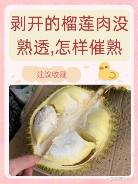 没有开口的榴莲怎么开_榴莲不开口能打开吗-第3张图片-山城妙识 没有开口的榴莲怎么开_榴莲不开口能打开吗-第3张图片-山城妙识