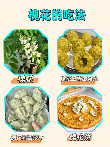 槐树花怎么吃_槐树花有什么功效-第1张图片-山城妙识 槐树花怎么吃_槐树花有什么功效-第1张图片-山城妙识