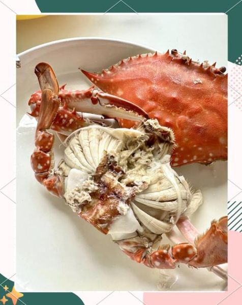 梭子蟹开锅蒸多久最佳时间_蒸梭子蟹几分钟才熟-第2张图片-山城妙识 梭子蟹开锅蒸多久最佳时间_蒸梭子蟹几分钟才熟-第2张图片-山城妙识