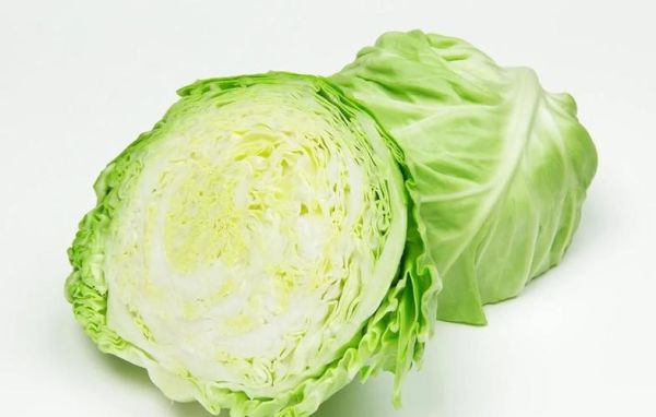 甘蓝菜和卷心菜的区别_哪个营养价值更高-第3张图片-山城妙识 甘蓝菜和卷心菜的区别_哪个营养价值更高-第3张图片-山城妙识