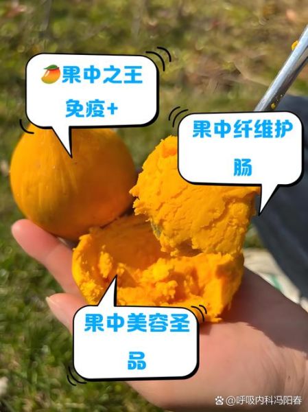 海南鸡蛋果的功效与作用_海南鸡蛋果怎么吃最好-第1张图片-山城妙识