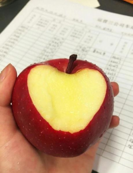 苹果减肥的正确吃法_苹果减肥一周瘦几斤-第1张图片-山城妙识 苹果减肥的正确吃法_苹果减肥一周瘦几斤-第1张图片-山城妙识