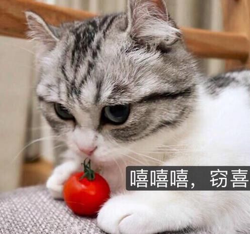 照烧鳗鱼饭怎么做_鳗鱼酱汁怎么调-第3张图片-山城妙识 照烧鳗鱼饭怎么做_鳗鱼酱汁怎么调-第3张图片-山城妙识