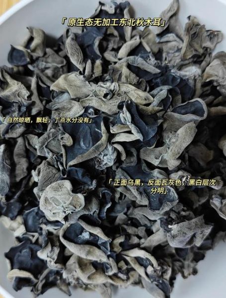 哪些野生木耳有毒_怎么分辨毒木耳-第2张图片-山城妙识 哪些野生木耳有毒_怎么分辨毒木耳-第2张图片-山城妙识