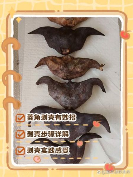 菱角怎么剥壳_菱角剥壳技巧-第1张图片-山城妙识 菱角怎么剥壳_菱角剥壳技巧-第1张图片-山城妙识