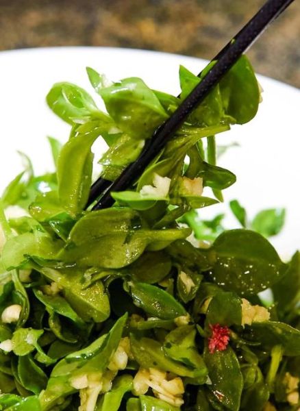 穿心莲怎么炒好吃_穿心莲凉拌做法大全-第2张图片-山城妙识