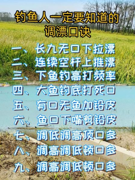 钓鳊鱼用什么饵料_钓鳊鱼怎么调漂-第3张图片-山城妙识 钓鳊鱼用什么饵料_钓鳊鱼怎么调漂-第3张图片-山城妙识
