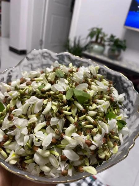 槐花饼的功效与作用_槐花饼怎么做才好吃-第2张图片-山城妙识 槐花饼的功效与作用_槐花饼怎么做才好吃-第2张图片-山城妙识