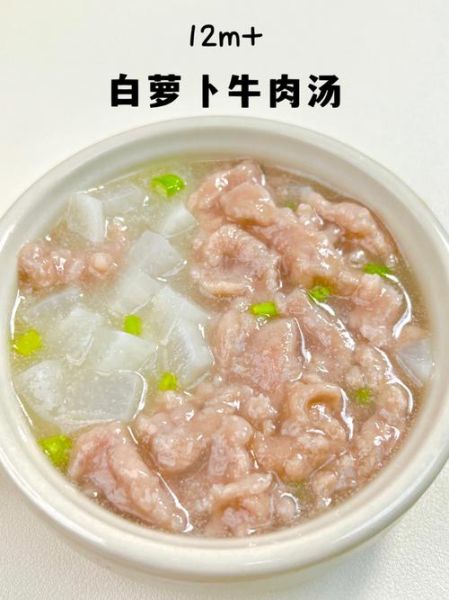 白萝卜牛肉汤怎么做_白萝卜牛肉汤的功效-第1张图片-山城妙识