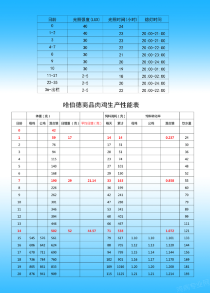 肉鸡怎么养_肉鸡养殖注意事项-第2张图片-山城妙识 肉鸡怎么养_肉鸡养殖注意事项-第2张图片-山城妙识