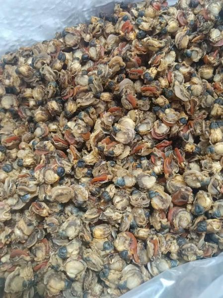 干扇贝的家常做法_干扇贝怎么做好吃-第1张图片-山城妙识 干扇贝的家常做法_干扇贝怎么做好吃-第1张图片-山城妙识