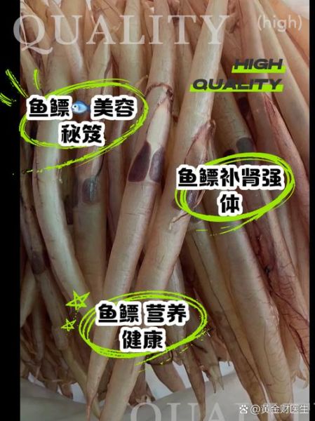 古代鱼鳔避孕真的有用吗_古人怎么用鱼鳔避孕-第3张图片-山城妙识 古代鱼鳔避孕真的有用吗_古人怎么用鱼鳔避孕-第3张图片-山城妙识