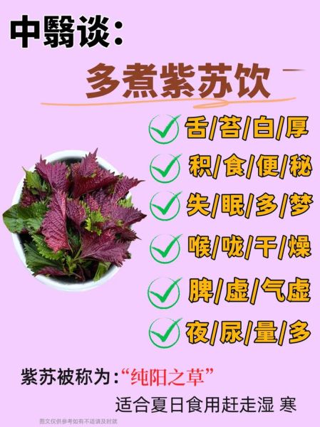 紫苏不能和什么一起吃_紫苏相克食物有哪些-第3张图片-山城妙识 紫苏不能和什么一起吃_紫苏相克食物有哪些-第3张图片-山城妙识