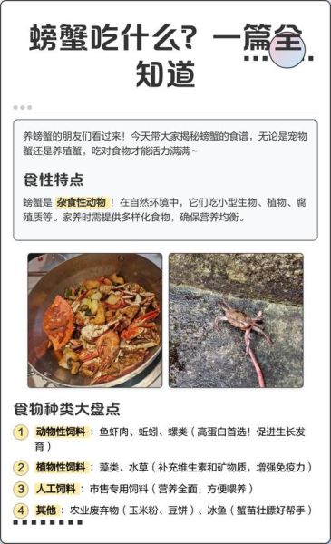 野生螃蟹吃什么_野生螃蟹食物清单-第1张图片-山城妙识 野生螃蟹吃什么_野生螃蟹食物清单-第1张图片-山城妙识