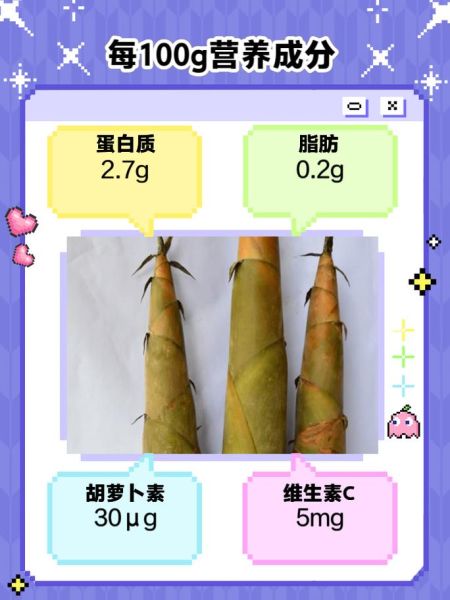 麻竹笋怎么做好吃_麻竹笋的禁忌有哪些-第1张图片-山城妙识 麻竹笋怎么做好吃_麻竹笋的禁忌有哪些-第1张图片-山城妙识