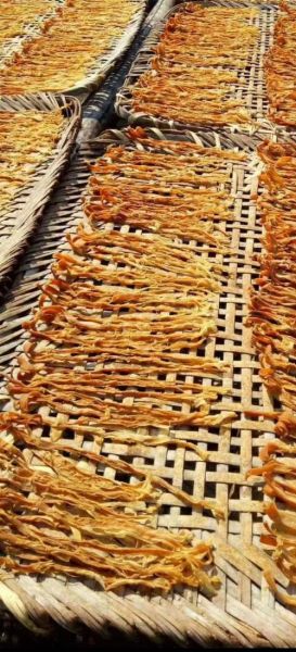 麻竹笋怎么做好吃_麻竹笋的禁忌有哪些-第3张图片-山城妙识 麻竹笋怎么做好吃_麻竹笋的禁忌有哪些-第3张图片-山城妙识