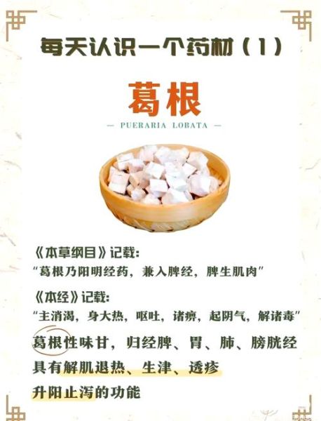 野生葛根粉有什么功效_野生葛根粉能降血糖吗-第1张图片-山城妙识 野生葛根粉有什么功效_野生葛根粉能降血糖吗-第1张图片-山城妙识