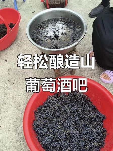 自制葡萄酒怎么做_自制葡萄酒视频教程-第3张图片-山城妙识 自制葡萄酒怎么做_自制葡萄酒视频教程-第3张图片-山城妙识