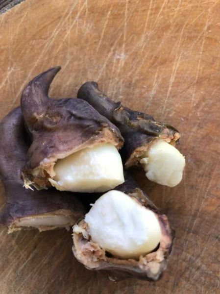 菱角怎么吃好吃_菱角的做法大全-第3张图片-山城妙识 菱角怎么吃好吃_菱角的做法大全-第3张图片-山城妙识