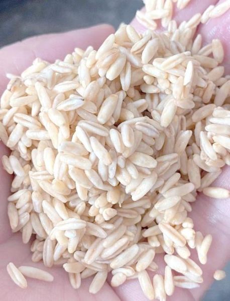 燕麦胚芽米骗老人_如何识别骗局-第3张图片-山城妙识 燕麦胚芽米骗老人_如何识别骗局-第3张图片-山城妙识