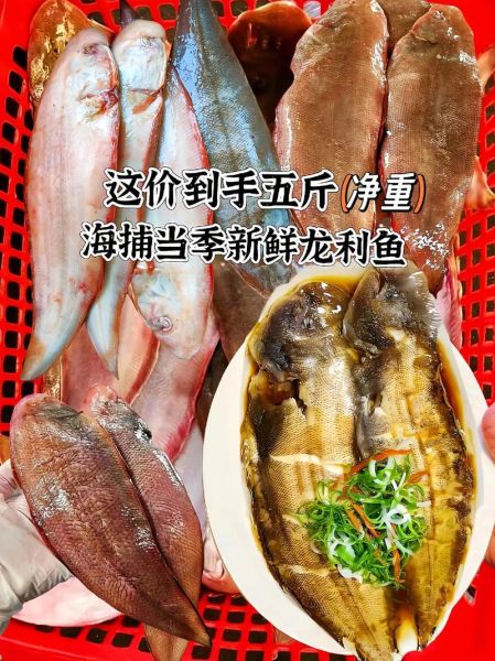 龙利鱼是什么鱼_龙利鱼是海鱼还是淡水鱼-第1张图片-山城妙识 龙利鱼是什么鱼_龙利鱼是海鱼还是淡水鱼-第1张图片-山城妙识