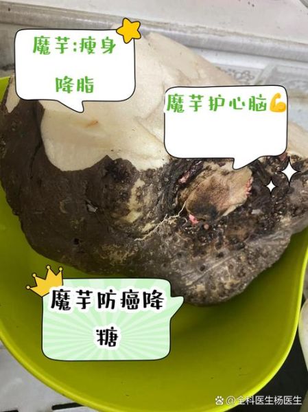 魔芋不能和什么一起吃_吃了会中毒吗-第3张图片-山城妙识 魔芋不能和什么一起吃_吃了会中毒吗-第3张图片-山城妙识