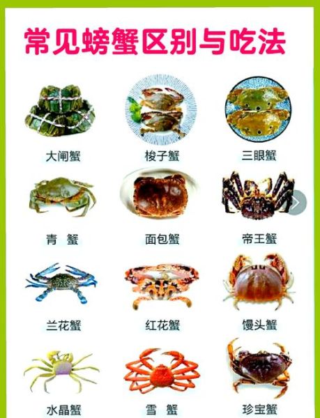 野生螃蟹吃什么食物_野生螃蟹爱吃什么-第1张图片-山城妙识 野生螃蟹吃什么食物_野生螃蟹爱吃什么-第1张图片-山城妙识