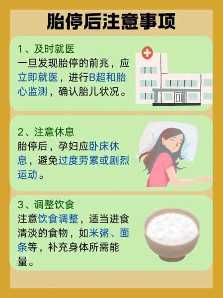 胎停最明显的4个征兆_胎停前兆有哪些-第1张图片-山城妙识 胎停最明显的4个征兆_胎停前兆有哪些-第1张图片-山城妙识