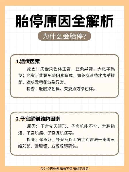 胎停最明显的4个征兆_胎停前兆有哪些-第2张图片-山城妙识 胎停最明显的4个征兆_胎停前兆有哪些-第2张图片-山城妙识