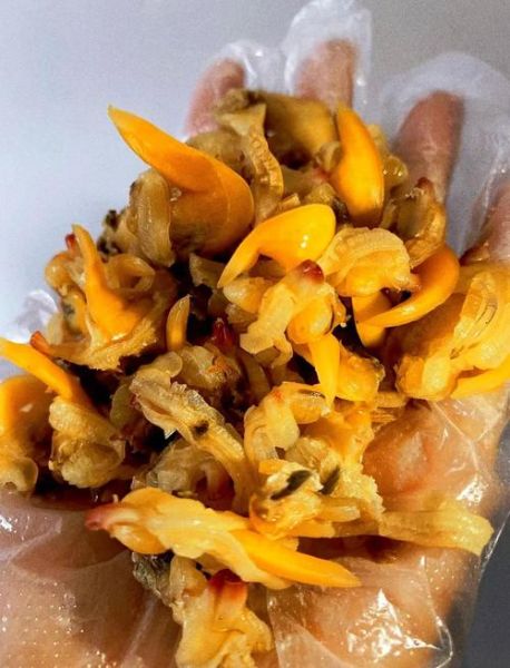 蚬子干怎么泡发_蚬子干的家常做法图解-第1张图片-山城妙识