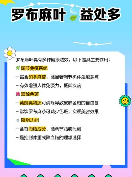 罗布麻叶禁忌_哪些人不能吃-第3张图片-山城妙识