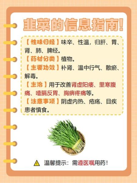 韭菜怎么吃壮阳_韭菜壮阳的正确吃法-第2张图片-山城妙识 韭菜怎么吃壮阳_韭菜壮阳的正确吃法-第2张图片-山城妙识