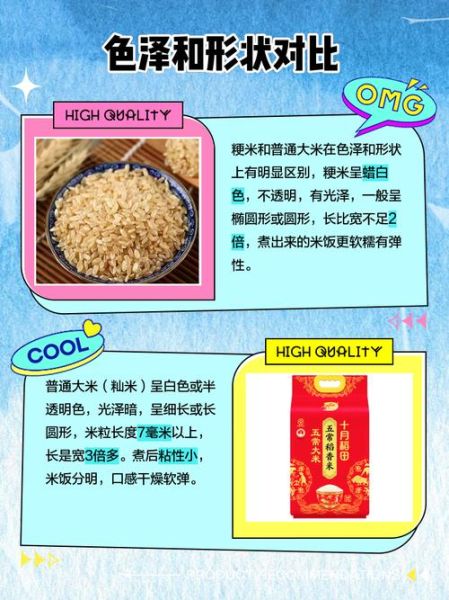 粳米和大米哪个更好_粳米和大米的区别-第3张图片-山城妙识