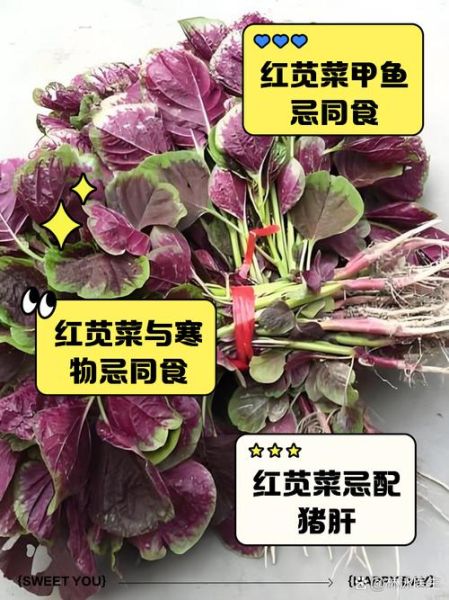 红苋菜的功效与作用_孕妇能吃红苋菜吗-第3张图片-山城妙识