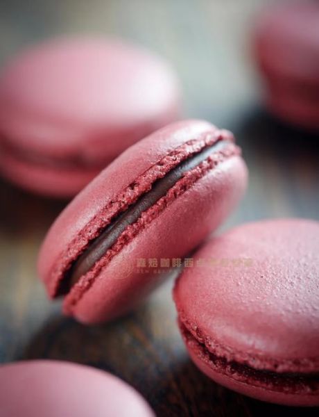 新手如何制作法式马卡龙_马卡龙失败原因有哪些-第1张图片-山城妙识
