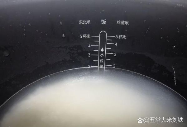 电饭煲一杯米放多少水_水量比例怎么算-第2张图片-山城妙识