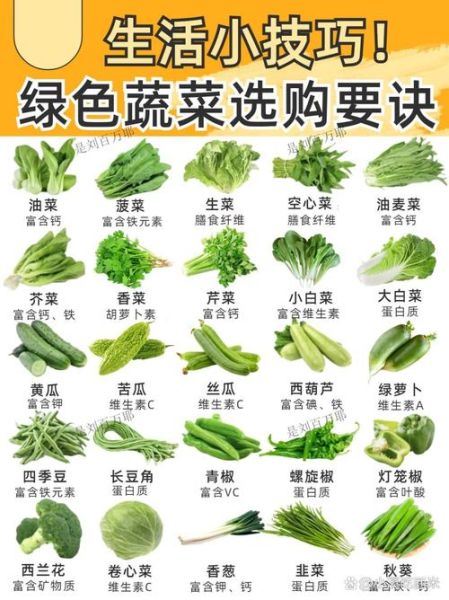 100种蔬菜图片大全_如何快速识别常见蔬菜-第1张图片-山城妙识