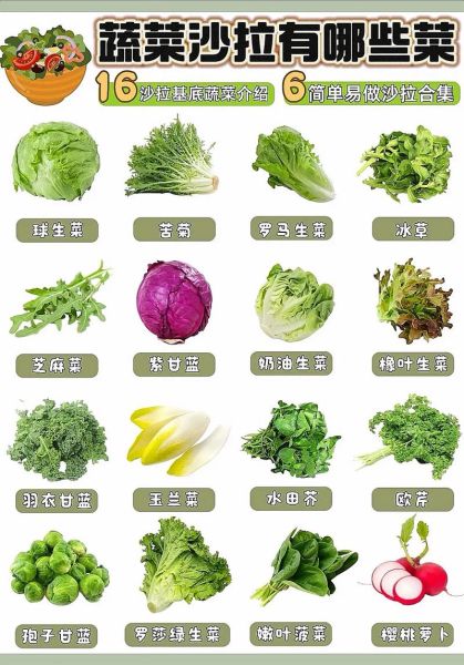 100种蔬菜图片大全_如何快速识别常见蔬菜-第2张图片-山城妙识