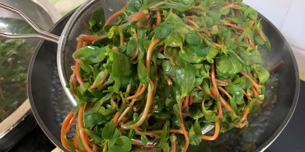 马齿苋饺子怎么做_马齿苋饺子馅怎么调-第2张图片-山城妙识 马齿苋饺子怎么做_马齿苋饺子馅怎么调-第2张图片-山城妙识