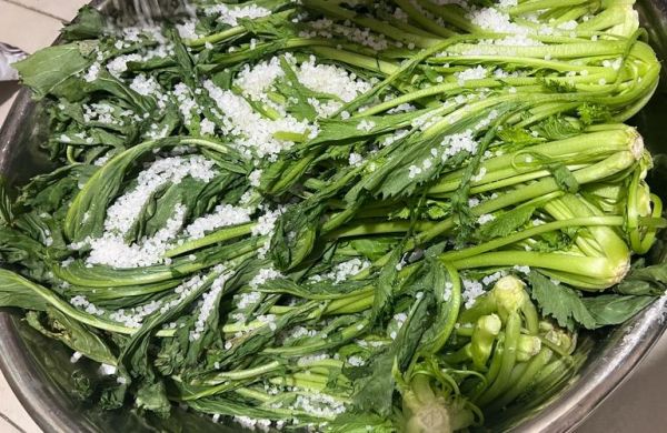 雪里蕻什么时候种_雪里蕻怎么种才高产-第2张图片-山城妙识 雪里蕻什么时候种_雪里蕻怎么种才高产-第2张图片-山城妙识