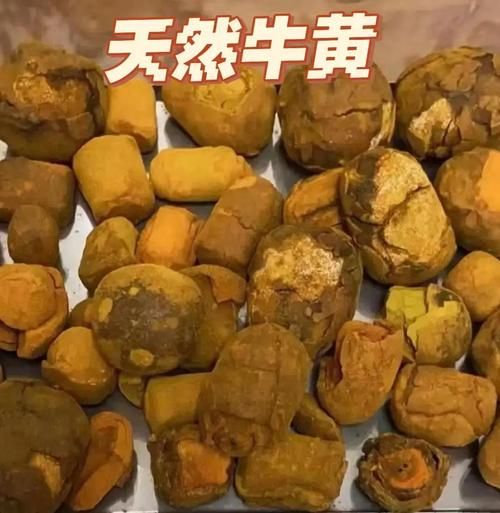 牛黄是什么_牛黄有哪些功效与作用-第2张图片-山城妙识 牛黄是什么_牛黄有哪些功效与作用-第2张图片-山城妙识