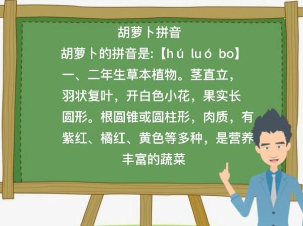 萝卜的拼音怎么拼写_萝卜拼音声调怎么标-第1张图片-山城妙识 萝卜的拼音怎么拼写_萝卜拼音声调怎么标-第1张图片-山城妙识