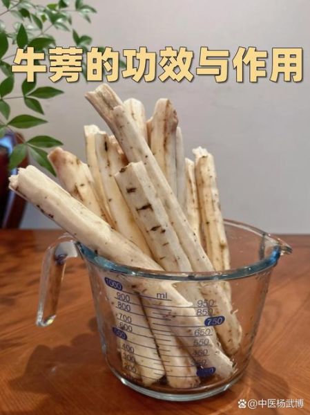 新鲜牛蒡怎么吃最好_牛蒡怎么炒才脆嫩-第2张图片-山城妙识 新鲜牛蒡怎么吃最好_牛蒡怎么炒才脆嫩-第2张图片-山城妙识