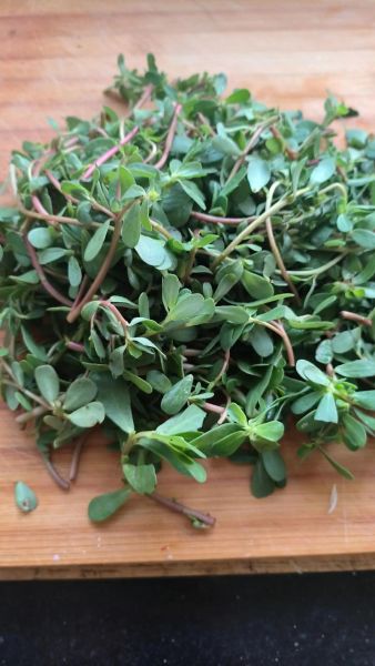 马芷菜是什么_马芷菜怎么吃-第1张图片-山城妙识