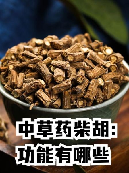 柴胡的功效与作用_柴胡疏肝解郁怎么吃-第2张图片-山城妙识 柴胡的功效与作用_柴胡疏肝解郁怎么吃-第2张图片-山城妙识