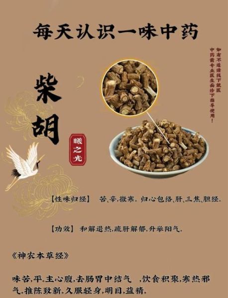 柴胡的功效与作用_柴胡疏肝解郁怎么吃-第3张图片-山城妙识 柴胡的功效与作用_柴胡疏肝解郁怎么吃-第3张图片-山城妙识